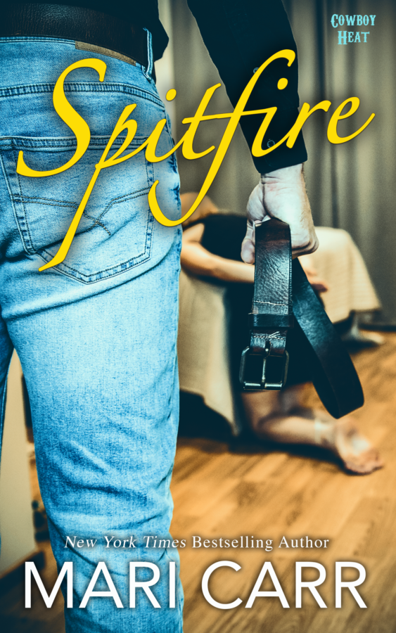 Spitfire | Mari Carr Store
